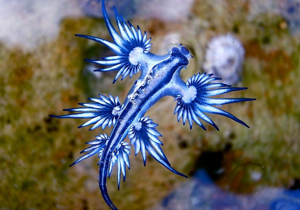 Download bokep indo viral 2025 easy easy to navigate